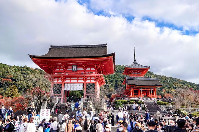 PERFECT KYOTO 1-Day Bus Tour - Final Verdict