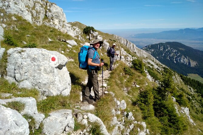 Piatra Craiului National Park Private Hiking Tour from Brasov - FAQs