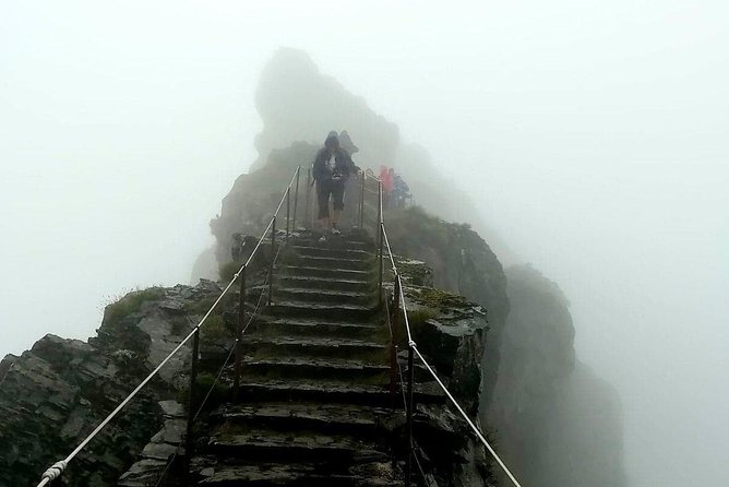 Pico Ruivo-Achadas do Teixeira-Pico Ruivo - Pico pedras/Queimadas - Who Should Book This Tour?