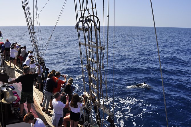 Pirate Adventure Boat Tour with Lunch in Fuerteventura - The Sum Up