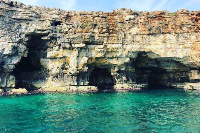 Polignano a Mare boat tour emotions, caves, diving and appetizers - Timing and Booking