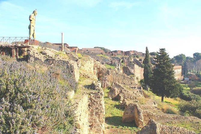 Pompeii and Herculaneum Private Tour with Native Guide and Skip the Line Tickets - Summary: Who Will Love This Tour?