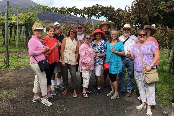 Pompeii, Herculaneum and Wine on Vesuvius with an Archaeologist - Authentic Experiences and What Travelers Say