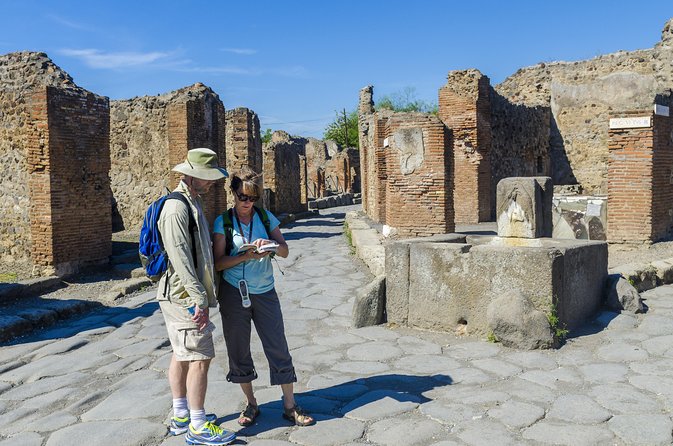 Pompeii Small Group Tour with an Archaeologist - Final Thoughts