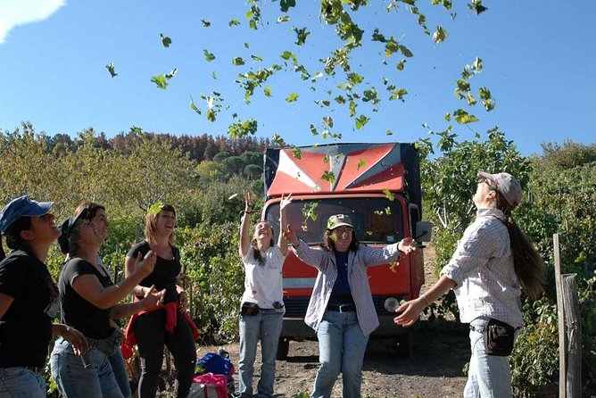 Private 6-Hour Tour of Three Etna Wineries with food&wine tasting - FAQ About the Etna Wineries Tour