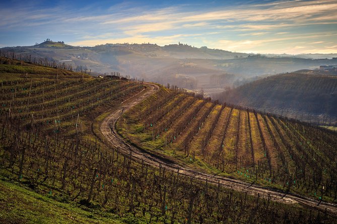 Private Barolo / Barbaresco - Piedmont Wine Tours and Tastings - Authenticity and the Value of a Private Guide