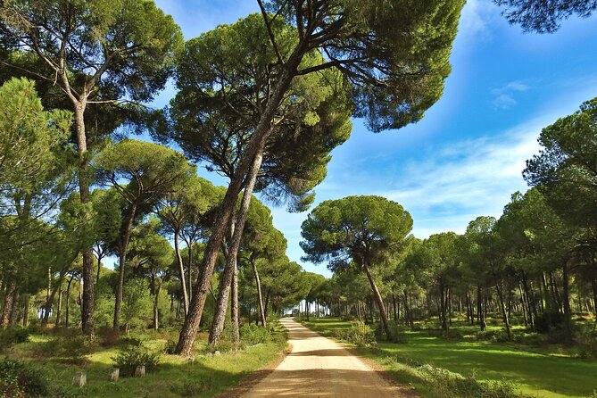 Private Birding & Photography Day Trip to Doñana - FAQ