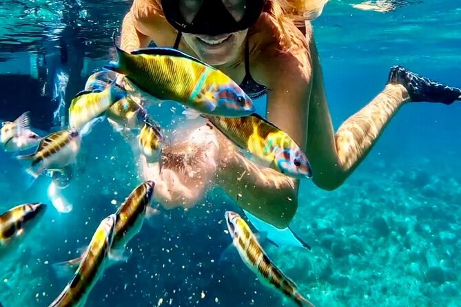 Private Boat Tour in Tropea - Up to 9 Guests, Unique Experience! - What Sets This Tour Apart