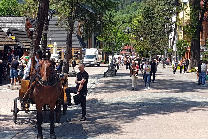 Private Day Tour to Zakopane and Tatra Mountains from Krakow - The Practicalities and What They Mean for You