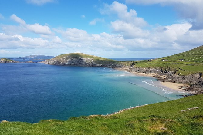 Private Dingle Peninsula Full-Day Tour - Beehive Huts and Baby Lamb Experience
