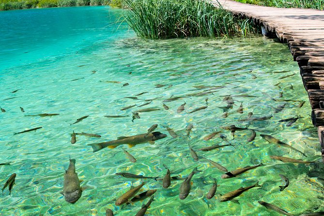 Private eclectic experience of Rastoke and Plitvice Lakes National Park - Why This Tour Offers Great Value