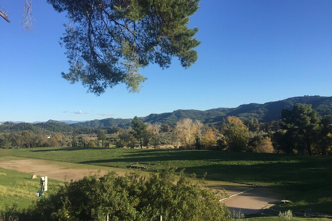 Private Excursion to Ancient Olympia - bee farm & winery - Tasting Greece: The Olympia Land Winery