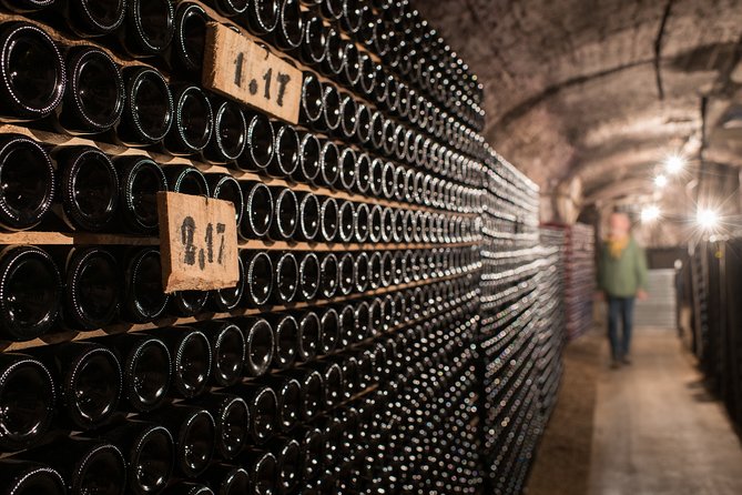 Private excursion to Côte de Beaune and Côte de Nuits (full day) - The Sum Up