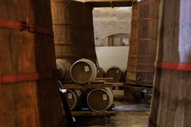 Private Food and Wine Tour in the Cellar with Tastings - Who It’s Best For