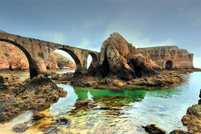 Private Tour: Berlenga Grande Island Day Trip from Lisbon - Authentic Insights from Reviews