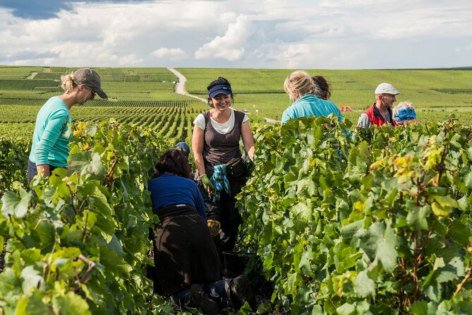 Private tour of the Champagne area, meet local producers and taste their Champagne, start from your hotel in Paris. - Who Should Consider This Tour?