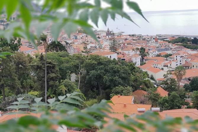Private Tuk Tuk Tour to Old Town + Monte in Funchal - The Sum Up