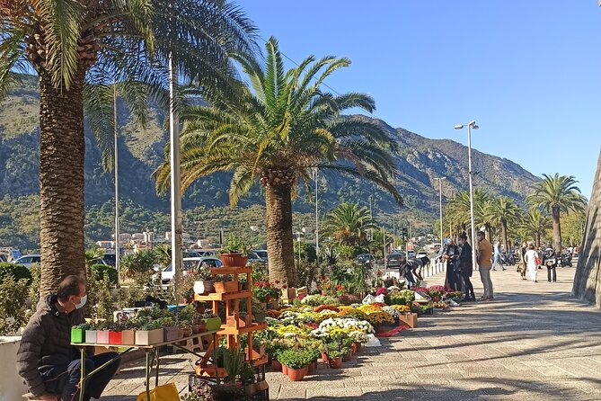 Private Walking tour with Wine and Food - Frequently Asked Questions