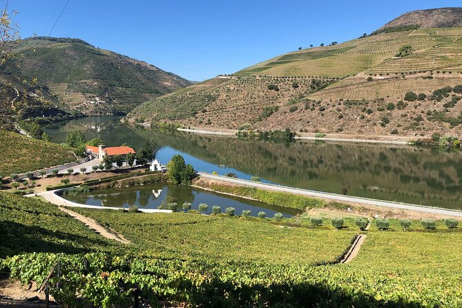 Private Wine Tour in the Douro Valley - Private wine tastings and lunch included - Authentic Experiences and Highly Praised Aspects
