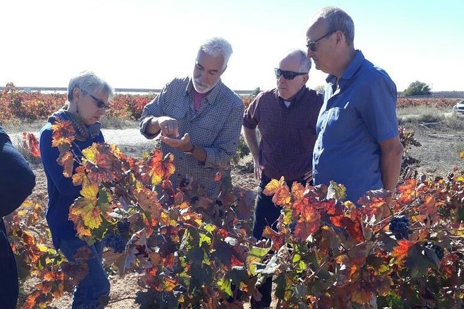 Private Wine Tour with Wine Tasting and Full Lunch (day trip) - The Sum Up