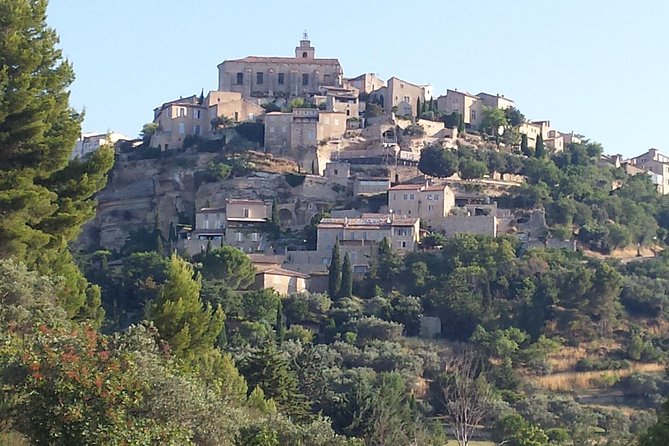 Provence Highlights Full-Day Tour from Avignon - Who Should Book This Tour?