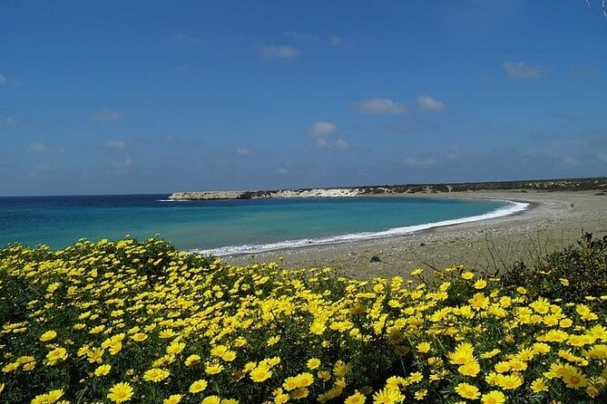 Quad or Buggy Tour from Coral Bay to Lara Bay - FAQ