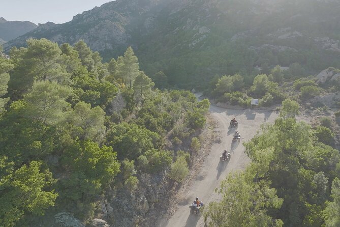 Quad Tour Monte Nieddu: Natural pools & Sardinian Tasting - Who Will Enjoy This Tour?