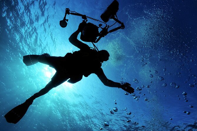 Qualified Diver 1 Tank Dive in Mykonos - Why This Tour Offers Good Value