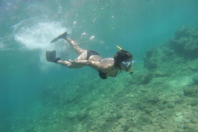 Rando-Palmée Getaway Around an island - What Previous Travelers Say