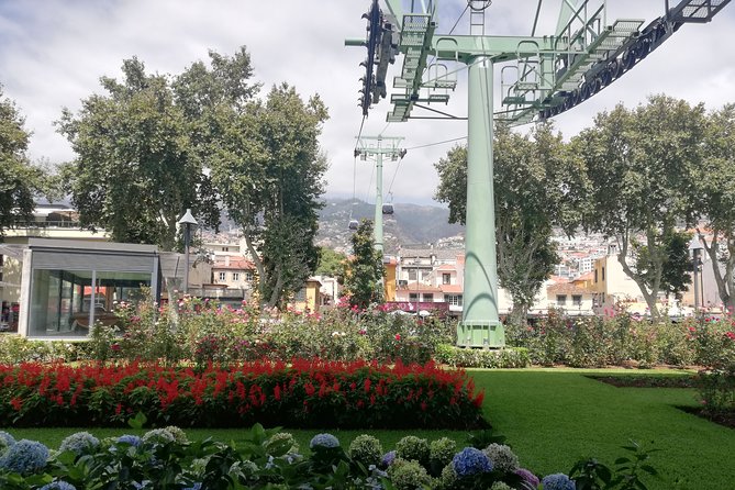 Real Life, Mountains & Sea Cliffs + Lunch + Levada walk - 6 hours - Authenticity and Value: Our Take