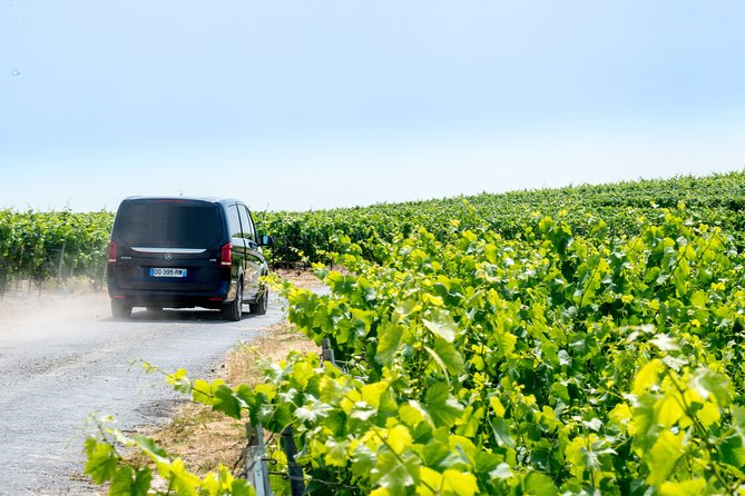 Reims afternoon tour Champagne and family growers - The Value and Considerations