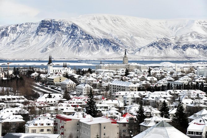 Reykjavik City Walking Tour - The Sum Up