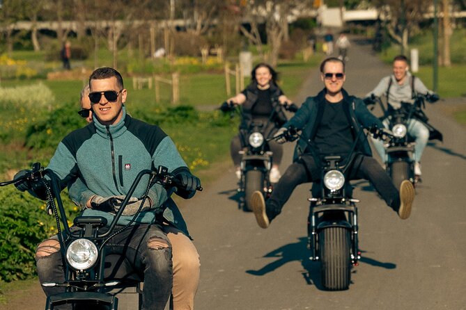 Reykjavík E-Scooter Adventure Small Group City Tour - Authentic Traveler Feedback and What It Tells Us