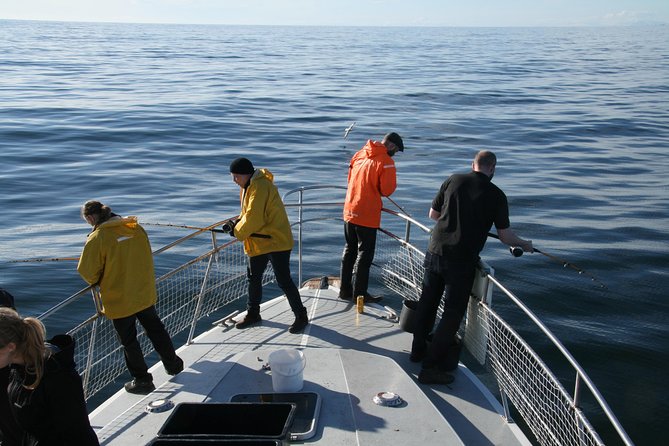 Reykjavik Sea Angling Gourmet - What the Reviews Say