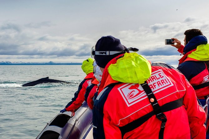 RIB Whale Watching Small-Group Boat Tour from Reykjavik - FAQ
