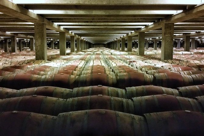 Rioja Wine Route with winery owner - Who Will Love This Tour?