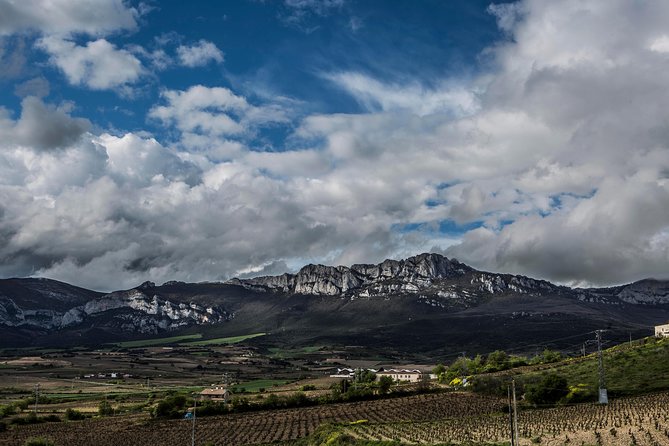 Rioja Wine Tour: Winery, Tasting & Lunch from San Sebastian - Final Thoughts