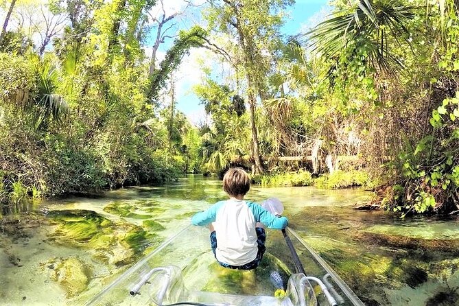 Rock Springs 2-Hour Glass Bottom Guided Kayak Eco Tour - FAQs