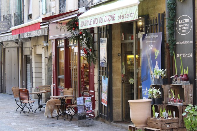 Roman Sites and Historical Places Day Trip from Avignon - Who Will Love This Tour?