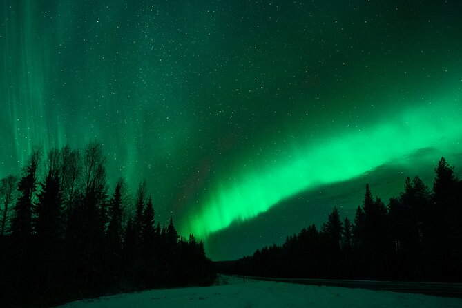 Rovaniemi: Private Aurora Tour with Guaranteed Sightings - Final Thoughts