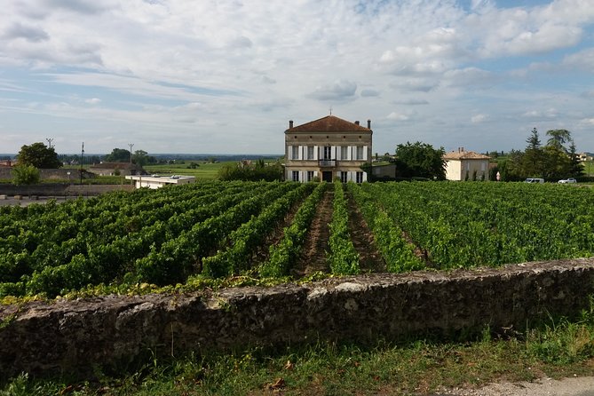 Saint Emilion Wine Tour Tasting Half Day from Bordeaux - Final Thoughts: Who Is This Tour Best For?