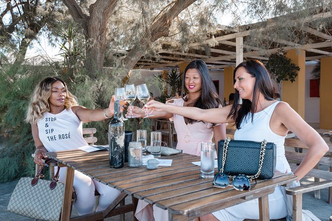 Santorini Wine Tour: Taste 12 best wines & 3 beers with pairings - The Sum Up: Who Will Love This Tour?