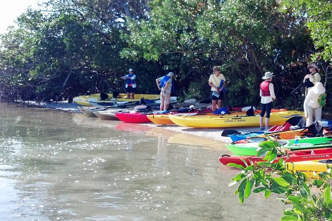 Sarasota Guided Mangrove Tunnel Kayak Tour - Practical Details and Value