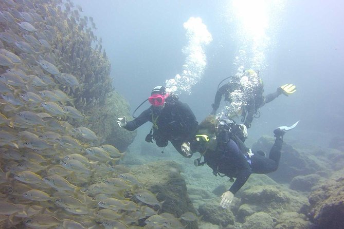 Scuba Diving Beginner's Session in Costa Adeje - Practical Details That Make This Tour Stand Out