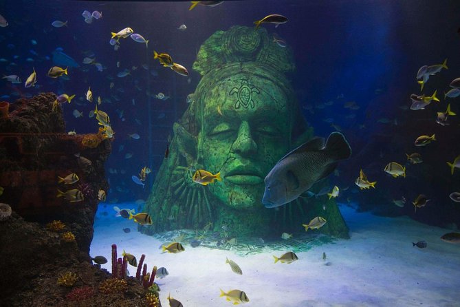 SEA LIFE Manchester Admission Ticket - Final Thoughts: Is It Worth It?