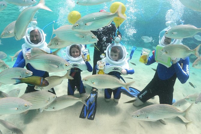Sea Trek (exclusive in Lanzarote) - Who Should Consider This Activity?
