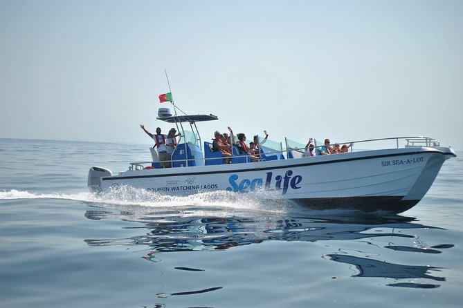 Sealife Sea Safari, Dolphin Watching with Marine Biologist's Lagos - Who Will Love This Tour?