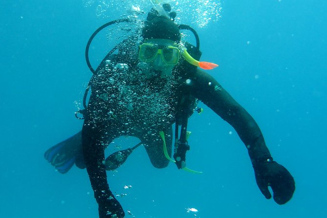 Seastar Luxury Outer Great Barrier Reef Island and Reef Tour - Value for Money