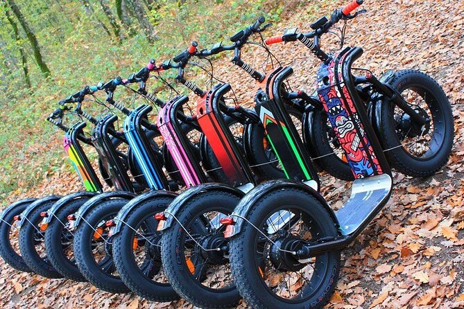 Seignosse electric scooter excursion - Final Thoughts: Who Should Consider This Tour?