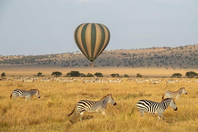 Serengeti Balloon Safari and authentic bush breakfast - Final Thoughts: Who Should Consider This Tour?